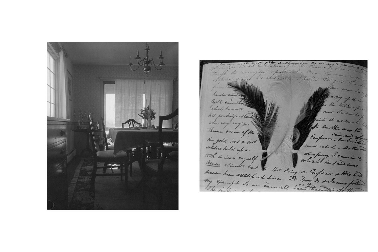 کاوشگر بینایی و ادراک؛ قدم برداشتن در خلاف جریان عکاسی - حرفه: هنرمند